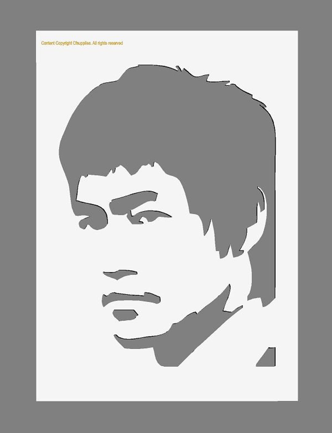 Bruce Lee Stencils in A3/A4/A5 Sheet Sizes Thicker 190 Micron Reusable ...