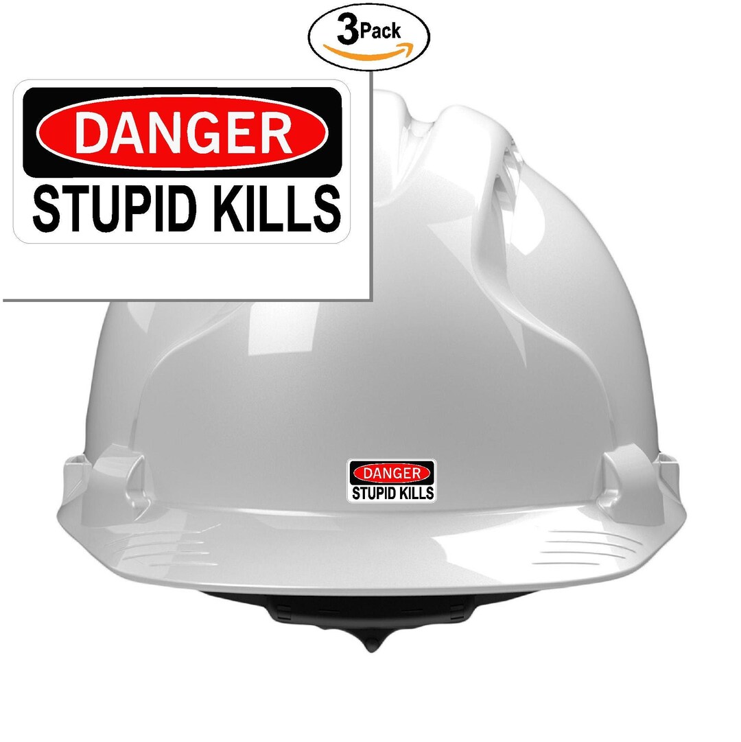Danger Stupid Kills set of 3 Stickers - Etsy