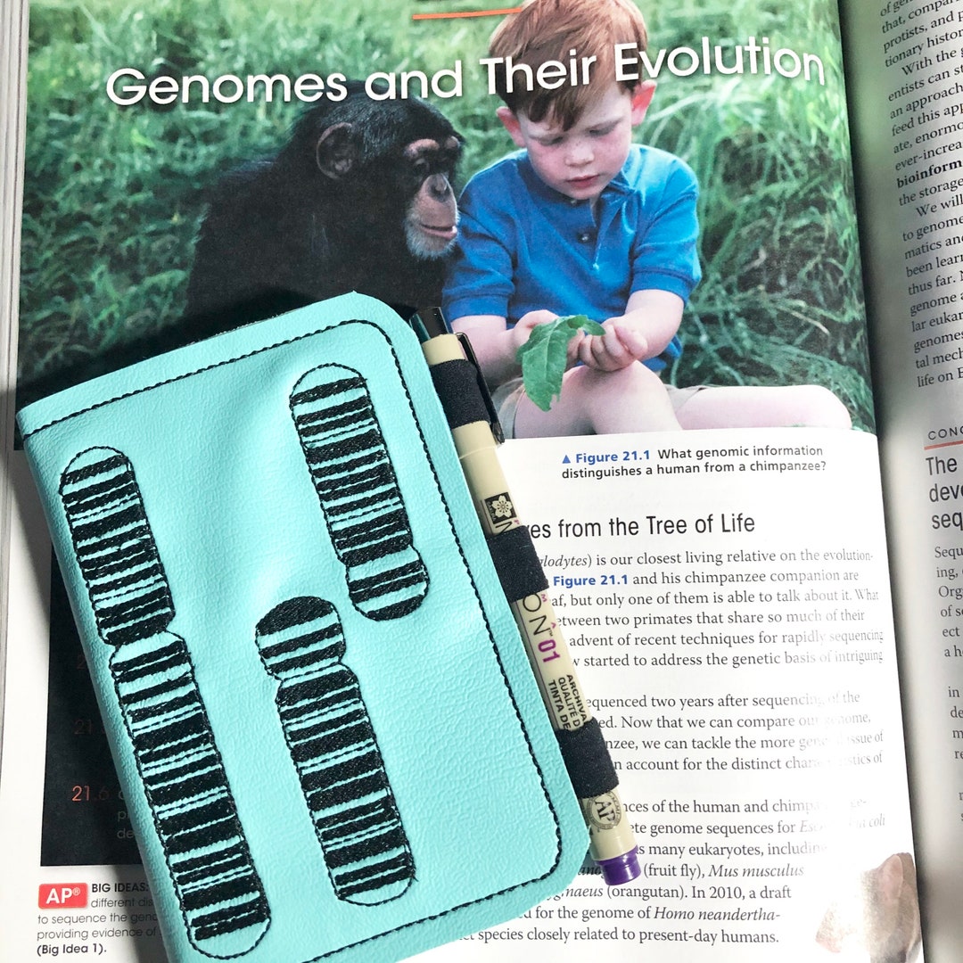 Biology Gift Human Chimp Chromosomes Evolution Journal - Etsy
