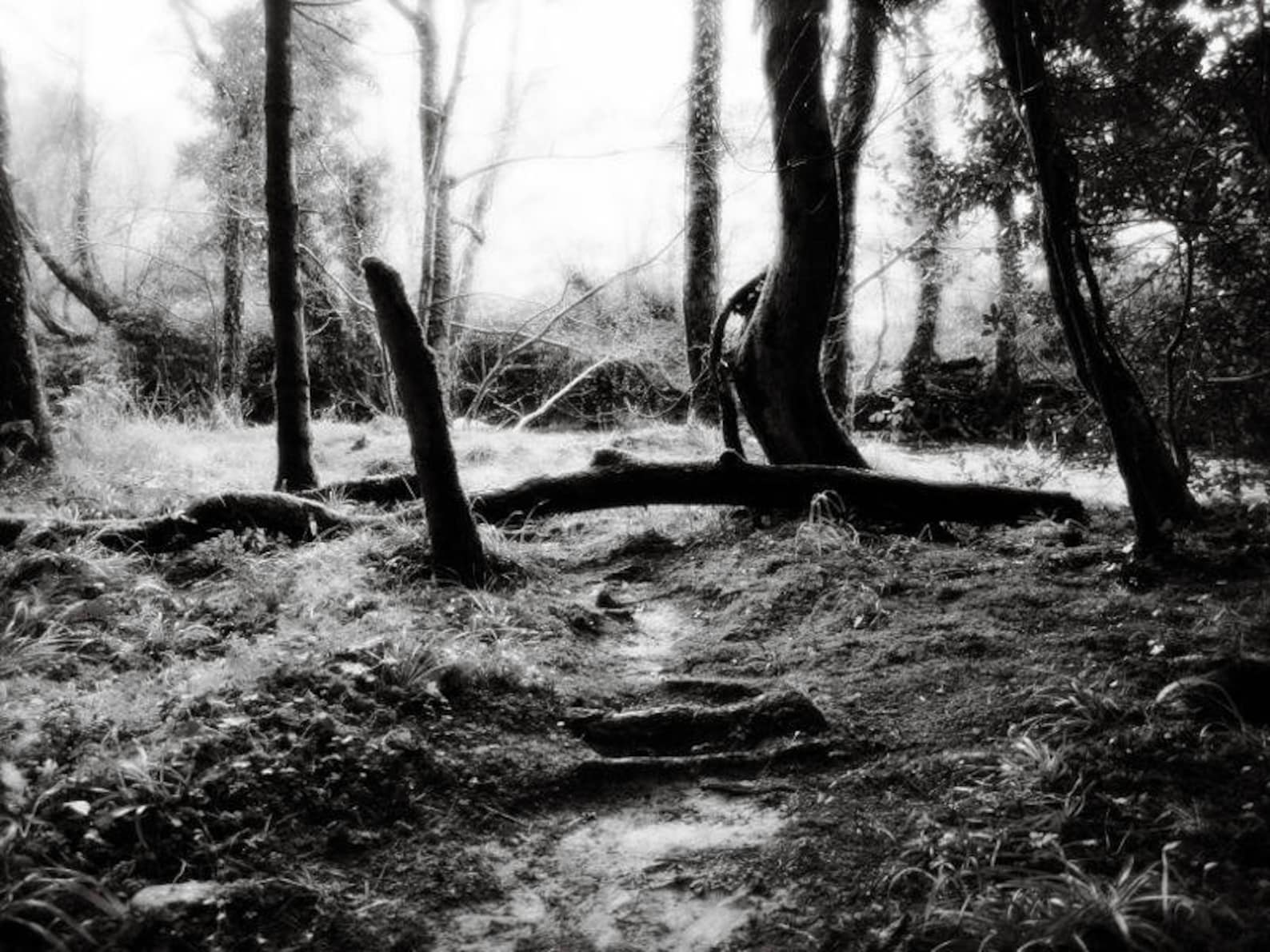 Irish Photography Book, Irish Landscape Photography Book, Black and ...