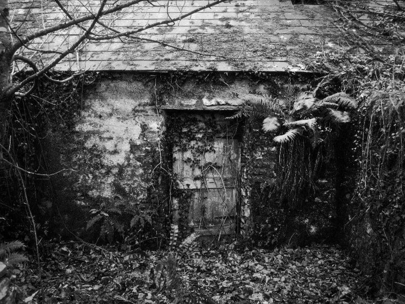 Irish Photography Book, Irish Landscape Photography Book, Black and ...