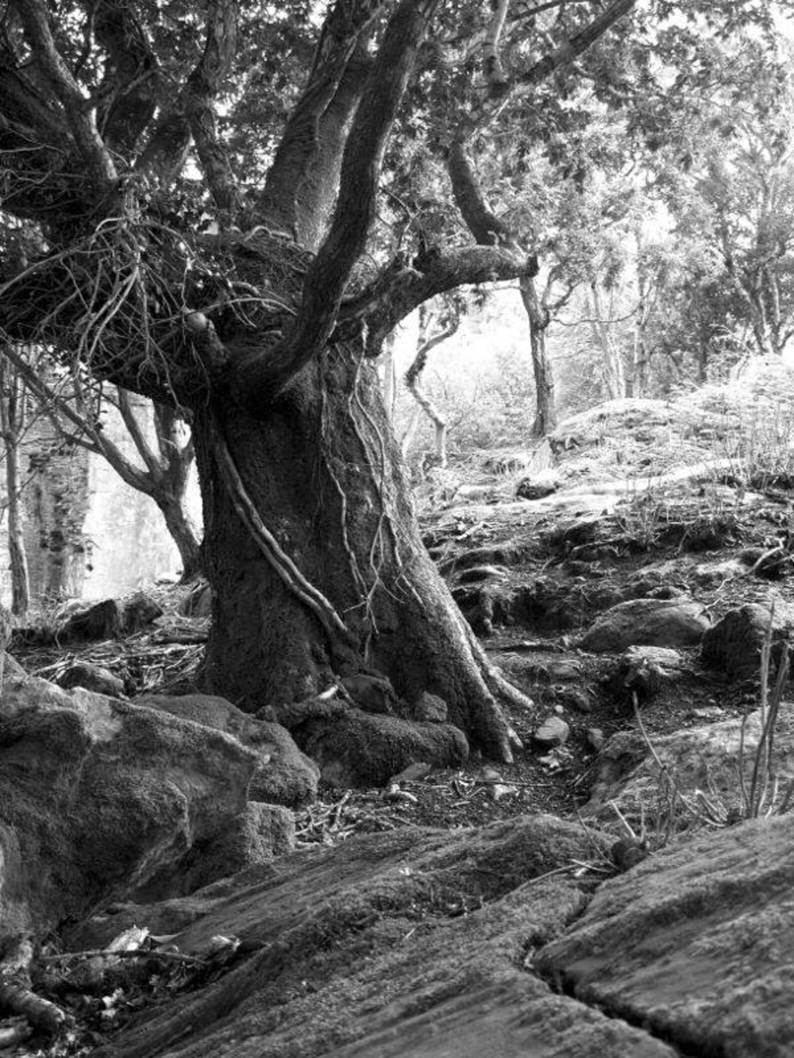 Irish Photography Book, Irish Landscape Photography Book, Black and ...