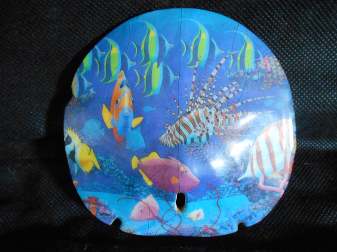 Colorful Ocean/fish Scene Sand Dollar - Etsy