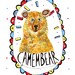 CAMEMBEAR Greetings Card, Fun Cheese Pun Typography, Cute Bear Card ...
