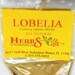 Lobelia Powder (lobelia Inflata). - Etsy