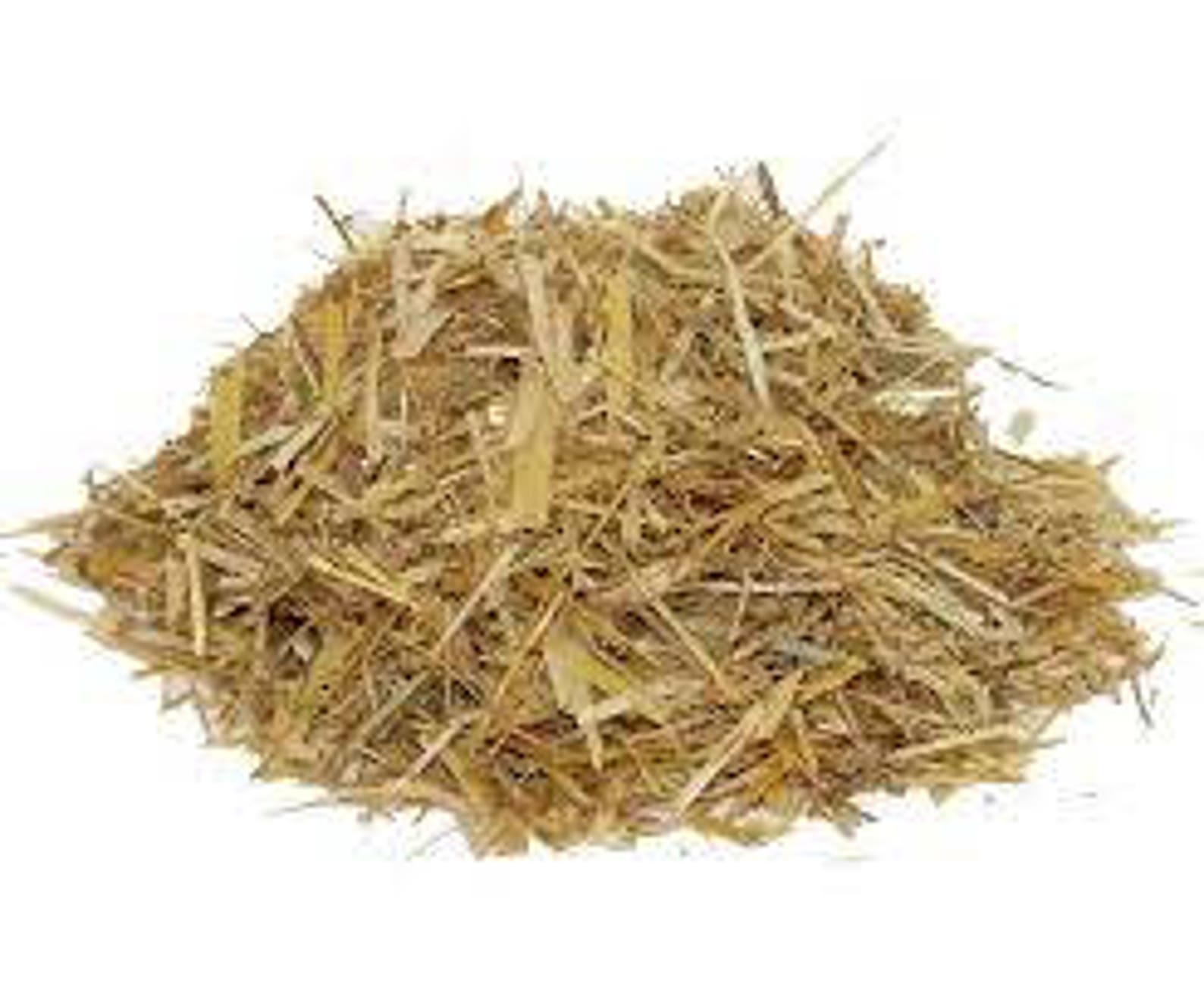 Oatstraw avena Sativia. | Etsy