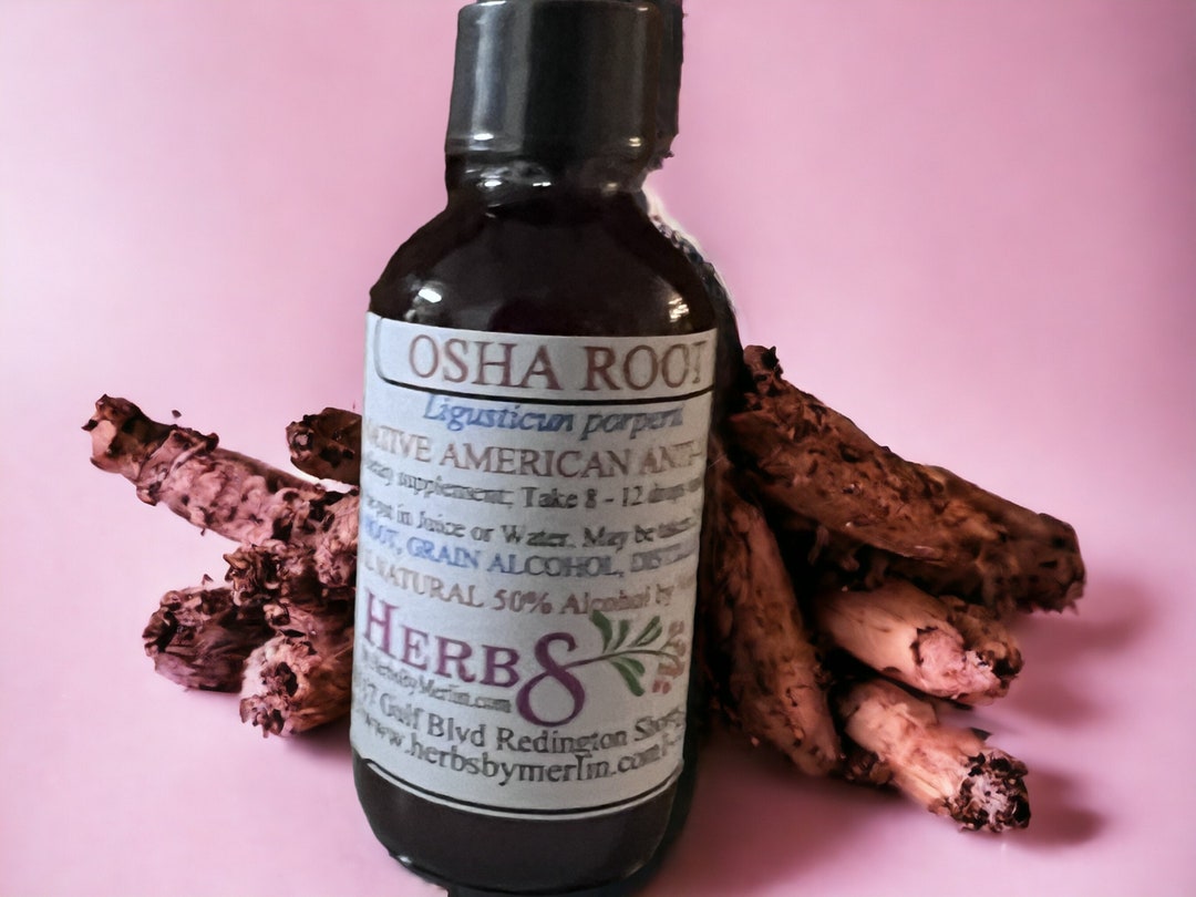 Osha Root Properties Tincture - Etsy