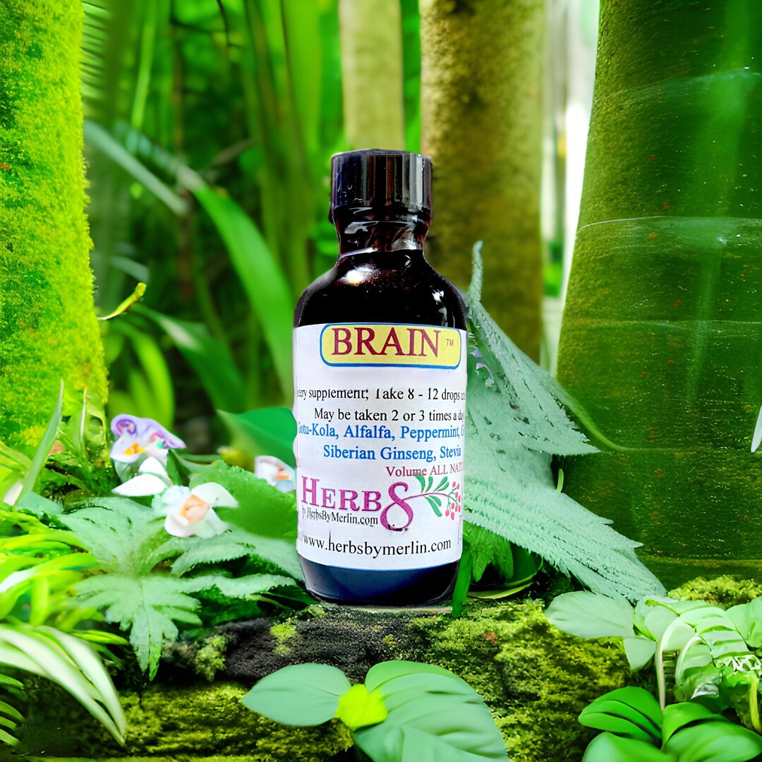 Brain Support Tincture Hand Made in Small Batches - Etsy