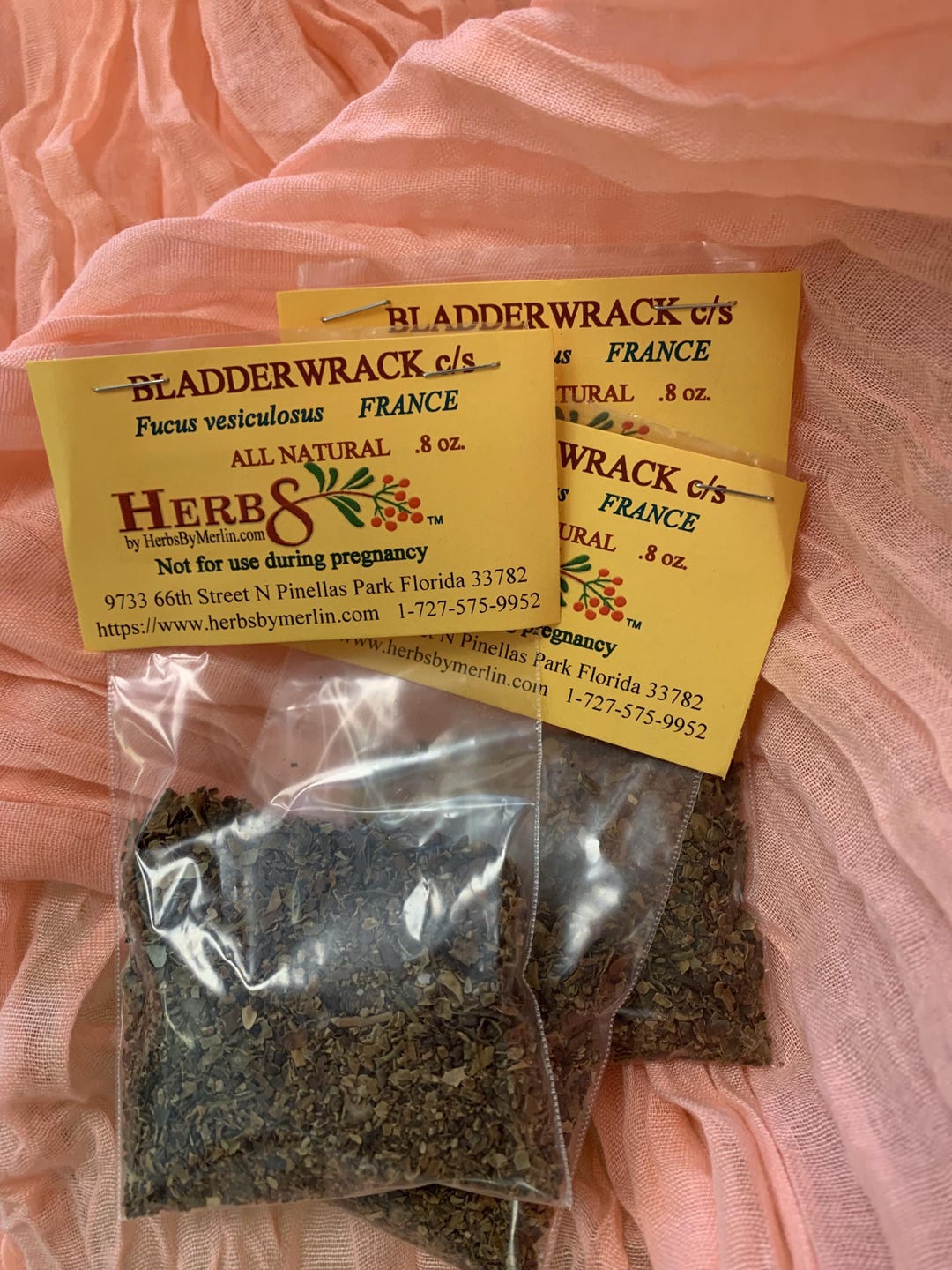 Bladderwrack. (fucus Vesiculosus) Dried Hand Packed - Etsy