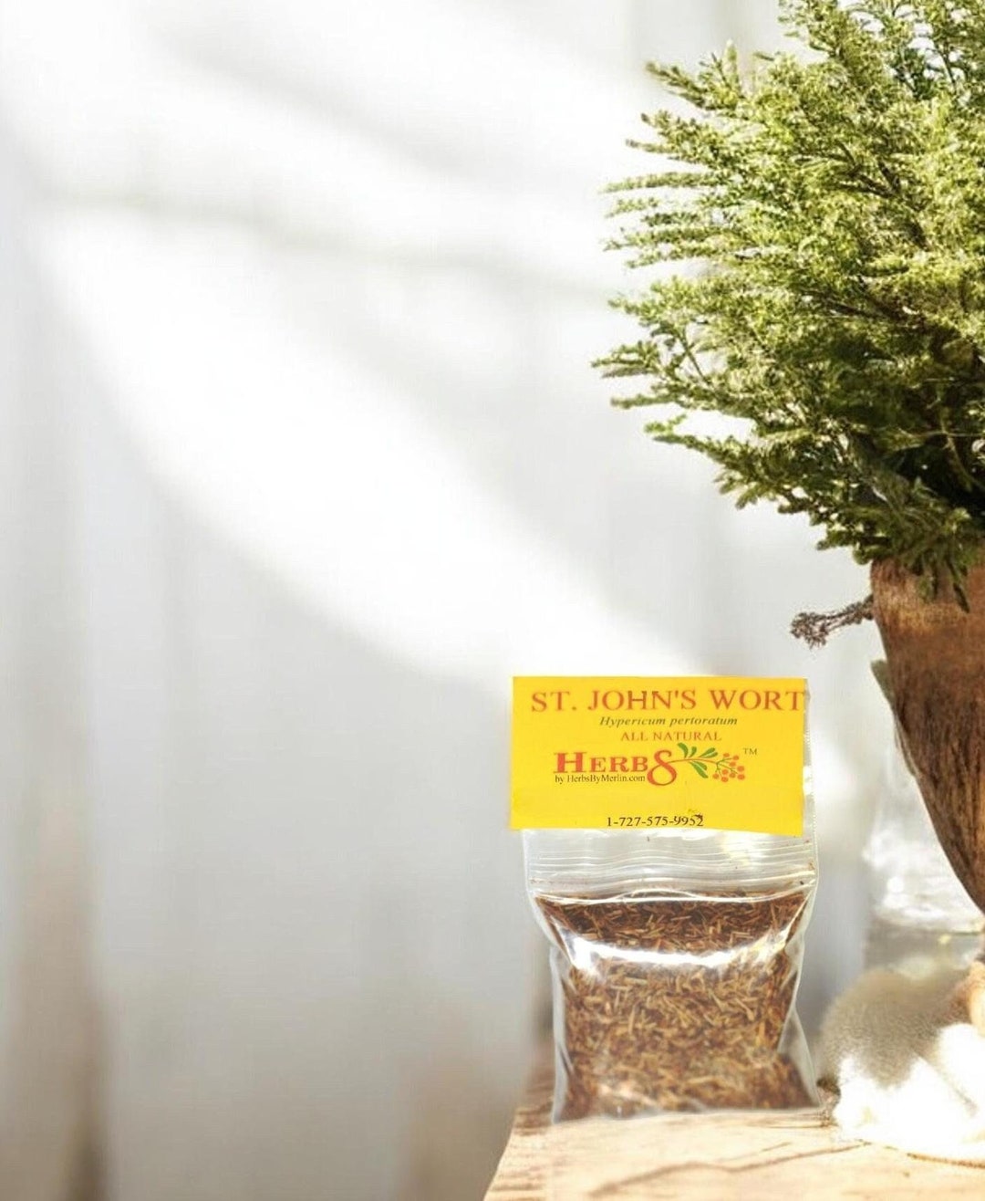 St. John's Wort - (hypericum Pertoratum). Cut Sifted Hand Packed - Etsy