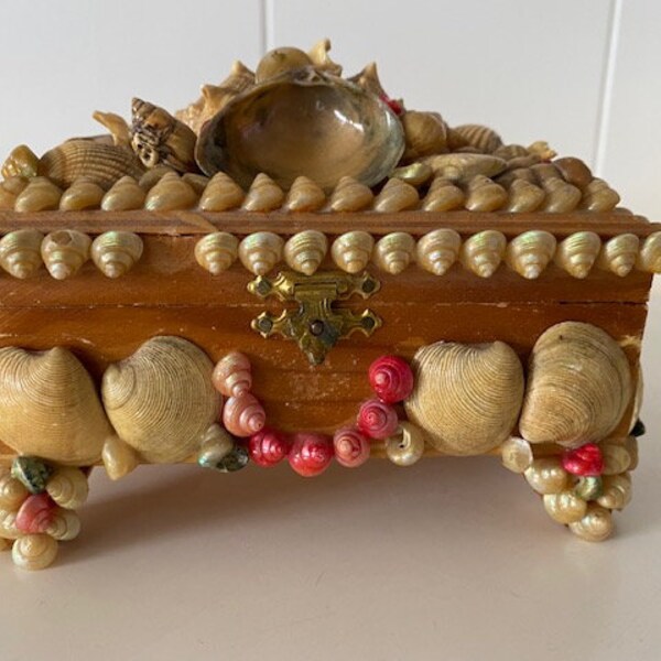 Sea Shell Box - Etsy