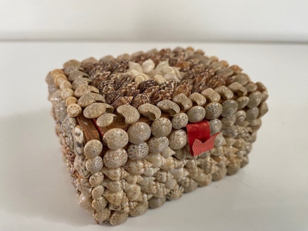 Sea Shell Box Vintage Trinket Box - Etsy