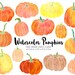 Watercolor Pumpkin Clipart. Hand Drawn Thanksgiving Pumpkins. | Etsy