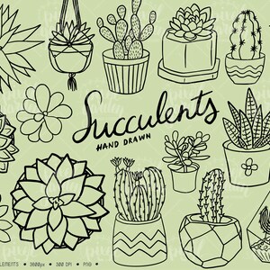 Succulent and Cactus Clip Art. Hand Drawn Succulents. Cute Cacti ...