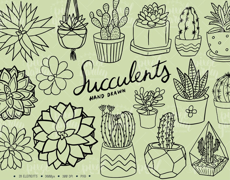 Succulent and Cactus Clip Art. Hand Drawn Succulents. Cute - Etsy