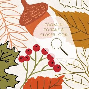 Fall Leaf Clipart. Autumn Leaves Illustration. Autumn Foliage, Acorn ...