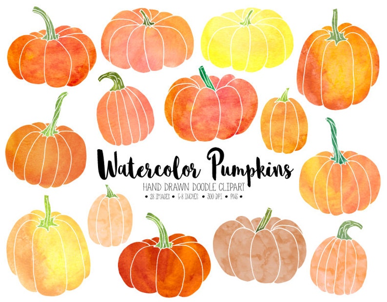 Watercolor Pumpkin Clipart. Hand Drawn Thanksgiving Pumpkins ...