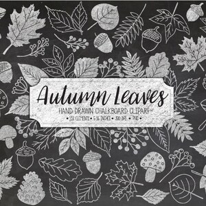 Fall Leaf Clipart. Chalk, Chalkboard Leaves. Autumn Foliage, Acorn ...
