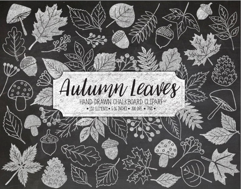 Fall Leaf Clipart. Chalk Chalkboard Leaves. Autumn Foliage | Etsy