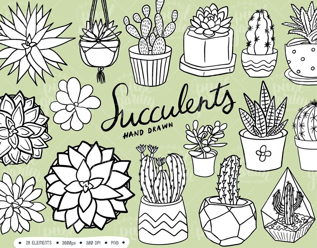 Succulent and Cactus Clip Art. Hand Drawn Succulents. Cute Cacti ...