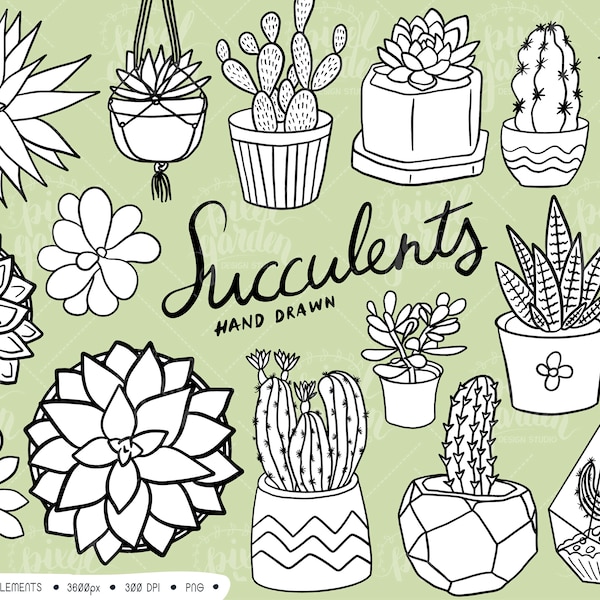 Cactus Illustrations - Etsy