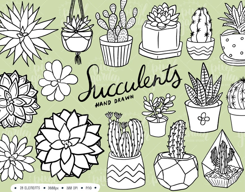 Succulent and Cactus Clip Art. Hand Drawn Succulents. Cute - Etsy
