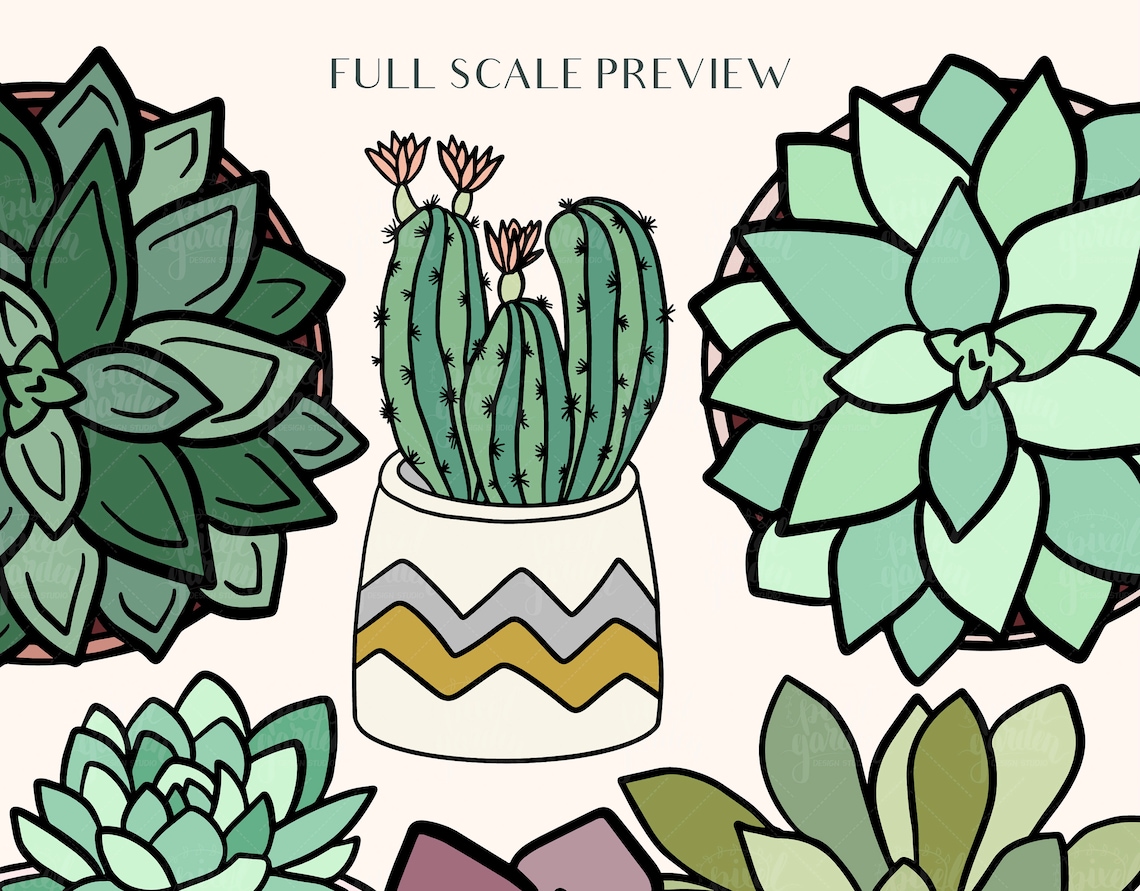 Succulent and Cactus Clip Art. Line Art Cactus Doodles. Han Drawn ...
