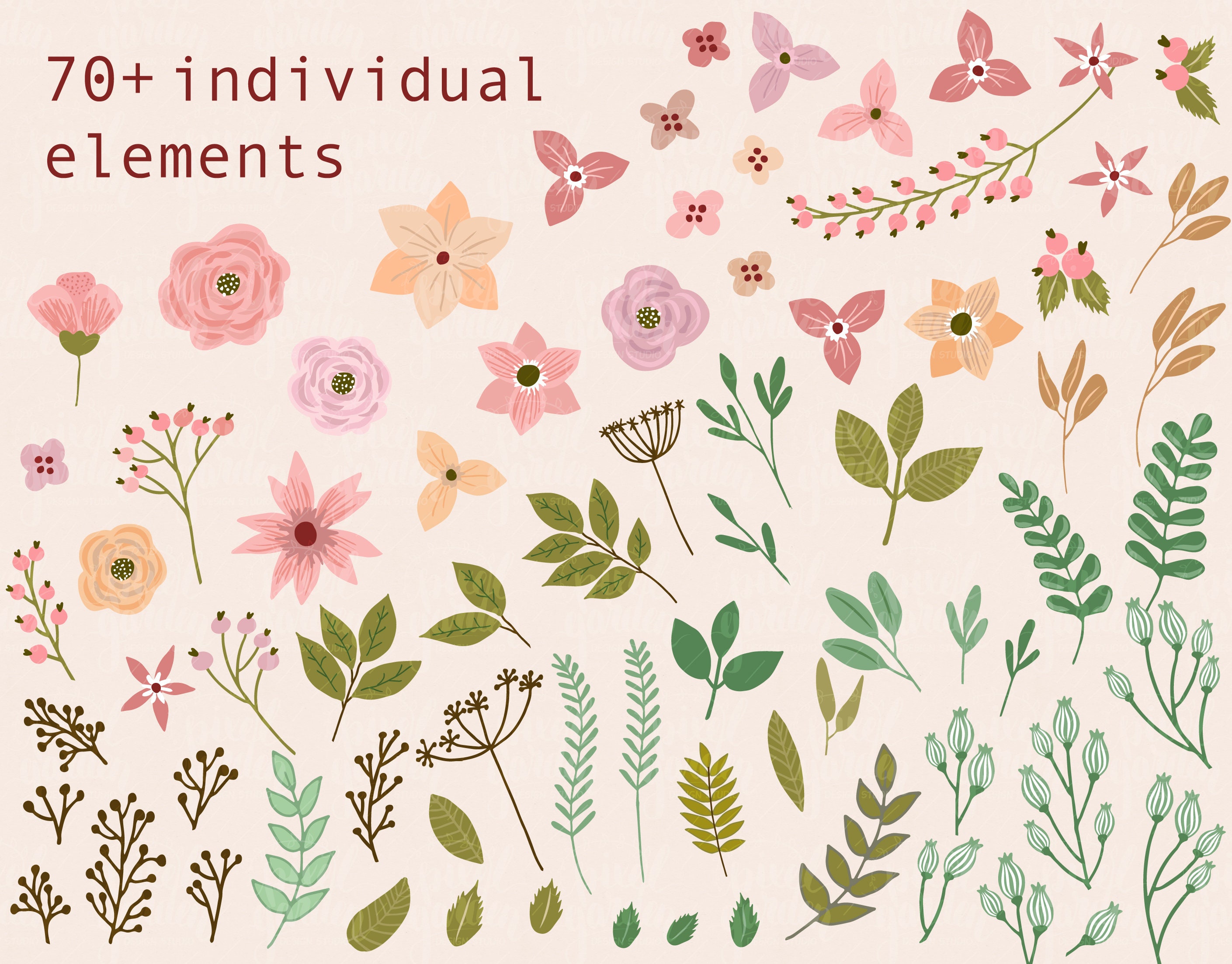 Hand Drawn Floral Clip Art. Wildflower Elements. Hand Drawn Botanical ...