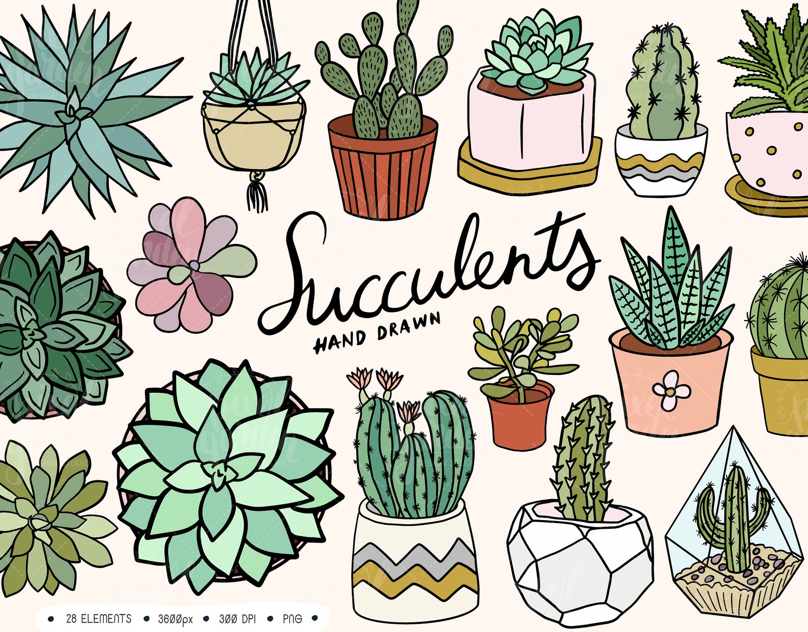 Succulent and Cactus Clip Art. Line Art Cactus Doodles. Han Drawn ...