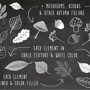 Fall Leaf Clipart. Chalk, Chalkboard Leaves. Autumn Foliage, Acorn ...