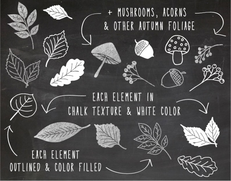 Fall Leaf Clipart. Chalk Chalkboard Leaves. Autumn Foliage | Etsy
