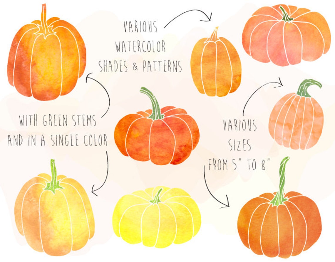 Watercolor Pumpkin Clipart. Hand Drawn Thanksgiving Pumpkins. - Etsy