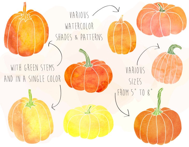 Watercolor Pumpkin Clipart. Hand Drawn Thanksgiving Pumpkins ...