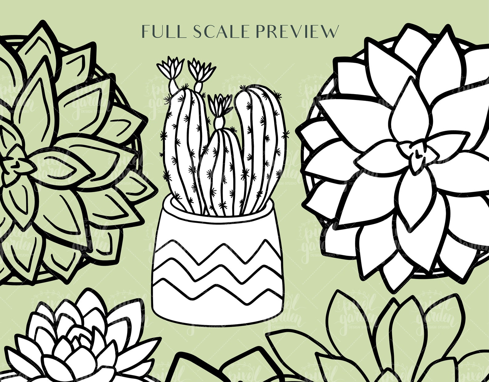 Succulent and Cactus Clip Art. Hand Drawn Succulents. Cute - Etsy