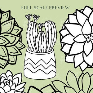 Succulent and Cactus Clip Art. Hand Drawn Succulents. Cute Cacti ...