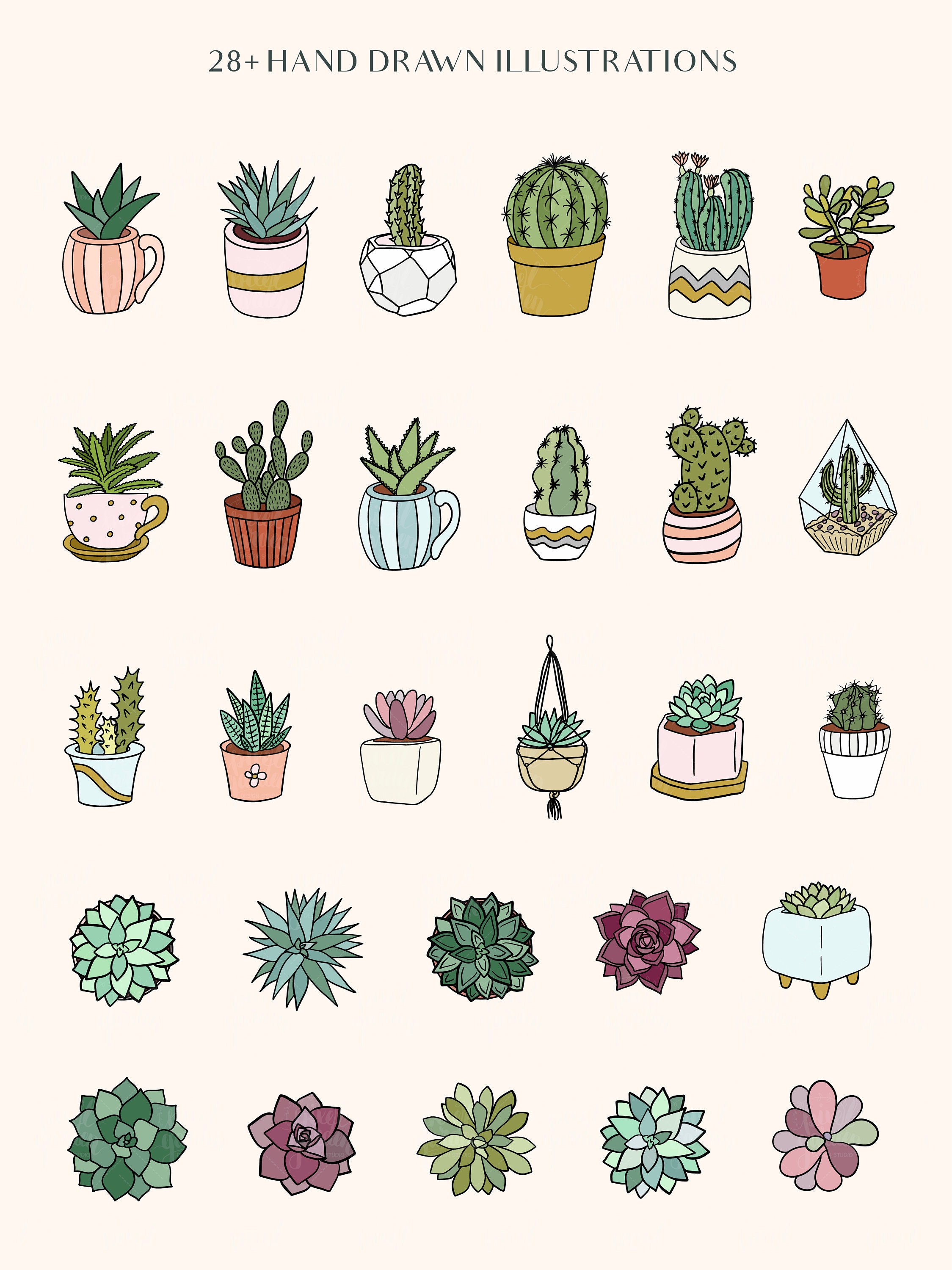 Succulent and Cactus Clip Art. Line Art Cactus Doodles. Han Drawn ...