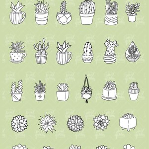 Succulent and Cactus Clip Art. Hand Drawn Succulents. Cute Cacti ...