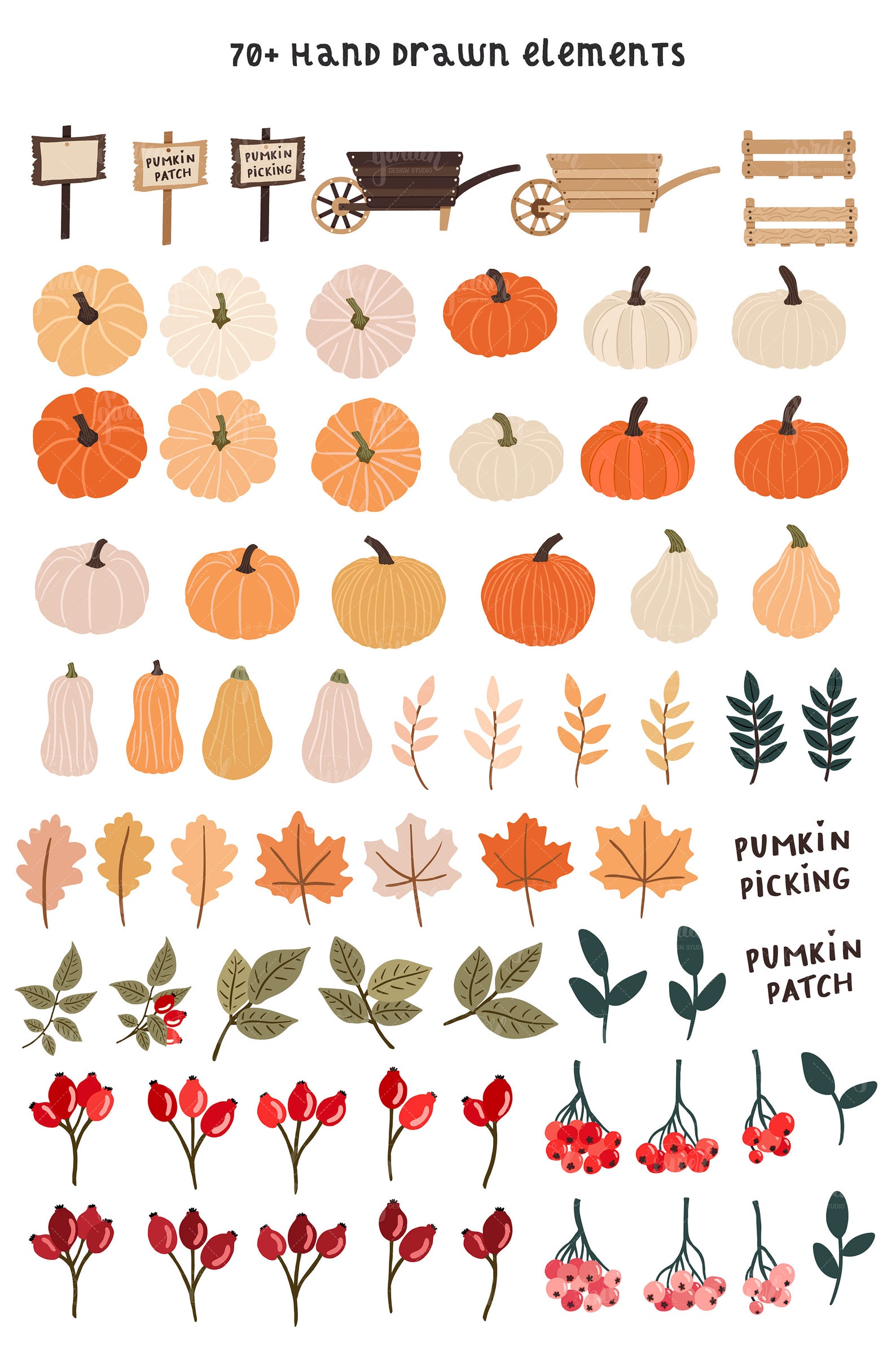 Fall Pumpkin Clip Art. Hand Drawn Pumpkin Patch Clipart. Fall - Etsy