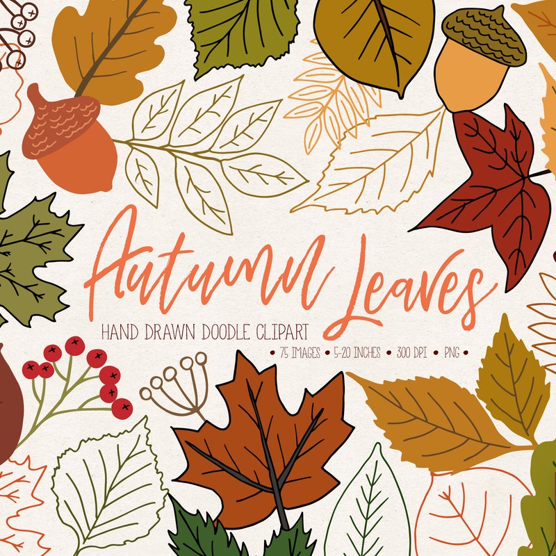 Maple Leaf Line Art - Etsy
