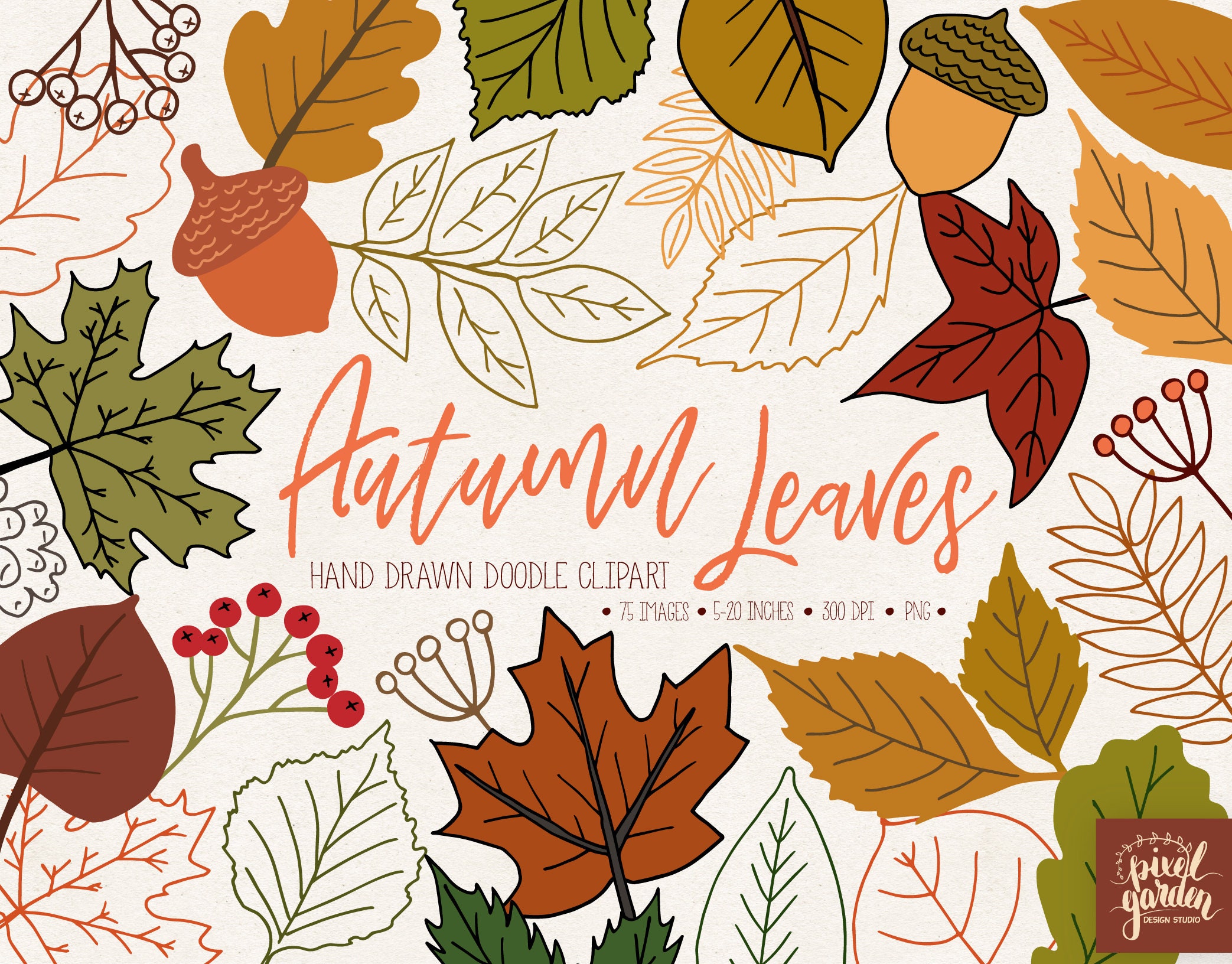 Fall Leaf Illustration