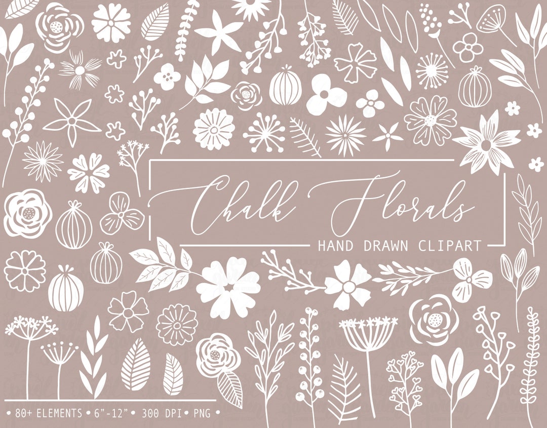 Chalk Floral Clip Art. Doodle Wildflower Elements. Hand Drawn ...