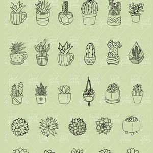 Succulent and Cactus Clip Art. Hand Drawn Succulents. Cute Cacti ...