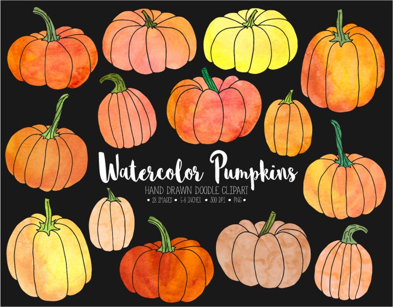 Watercolor Pumpkin Clipart. Hand Drawn Thanksgiving Pumpkins ...