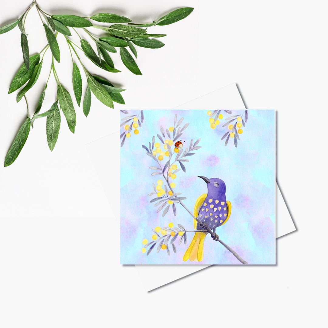 Blank Gift Card, Australian Honey Eater Bird Card for All Occasions ...