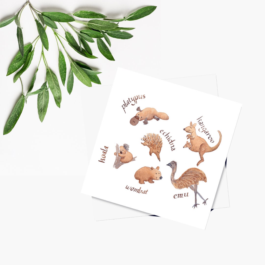 Blank Gift Card, Australian Animals Card for All Occasions, Birthday ...
