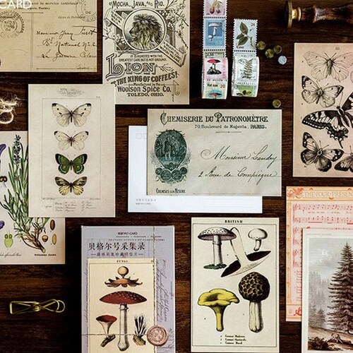 Bob the Drag Queen Postcard Rupauls Drag Race | Etsy