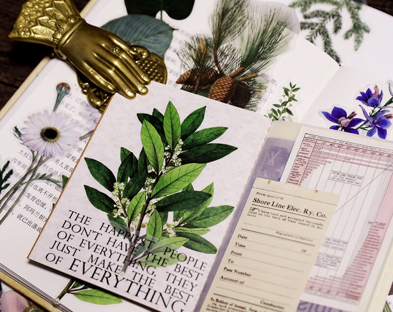 50 pcs Vintage Botanical Plants Vellum Stickers Natural Leaf Flowers ...