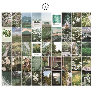 50 Pcs Deco Washi Sticker Mini Booklet Aesthetic Color - Etsy