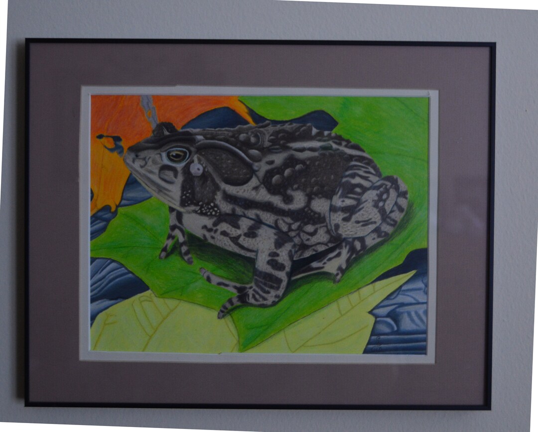Original Colored Pencil Drawing of a Toad Sitting on Colorful Leaves - Etsy