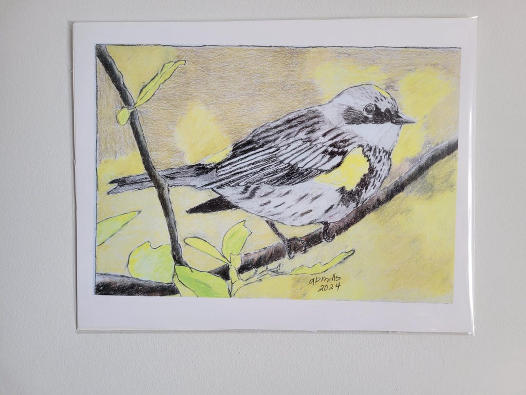 Original Drawing of a Yellow-rumped Warbler Drawn With Colored Pencils ...